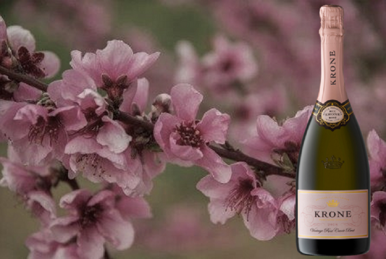 A pink celebration - Get it Highway & Berea