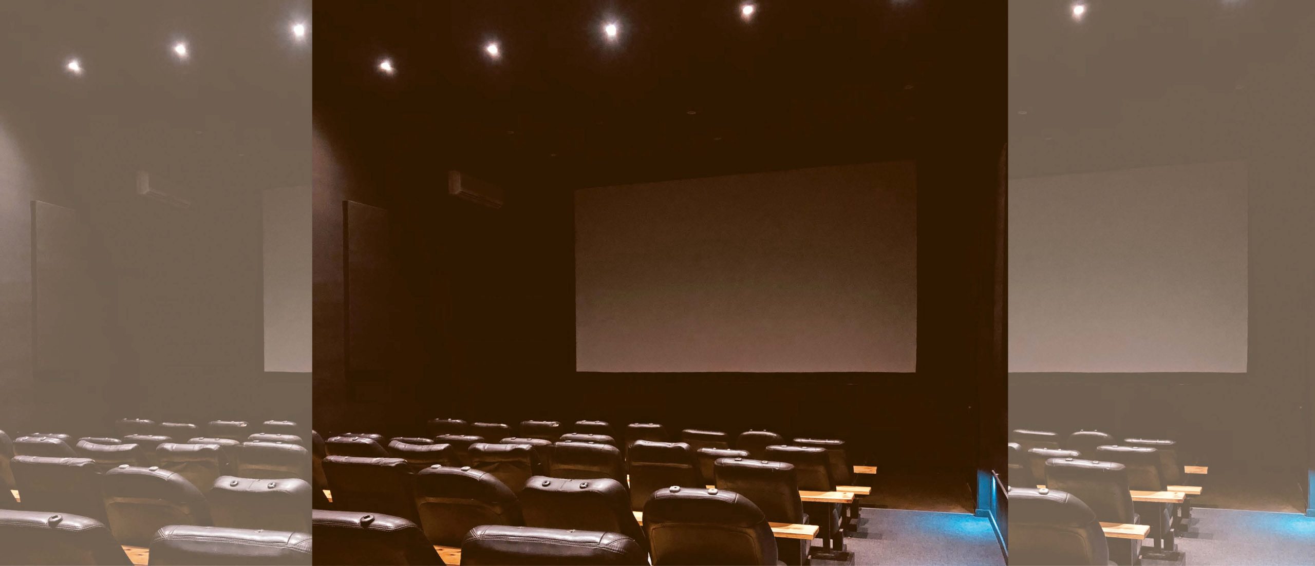 Won’t you take me to The Bioscope - Get it Joburg North