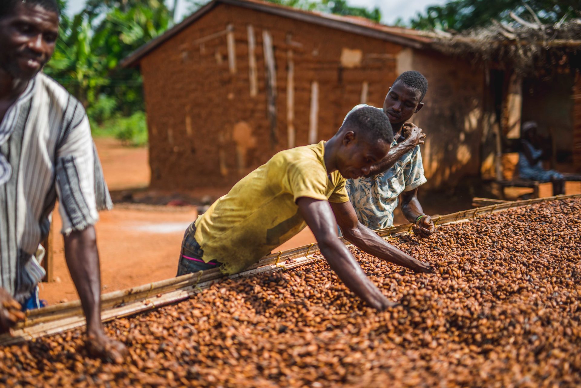 Cocoa Life brings sustainability to South Africa’s best-loved ...