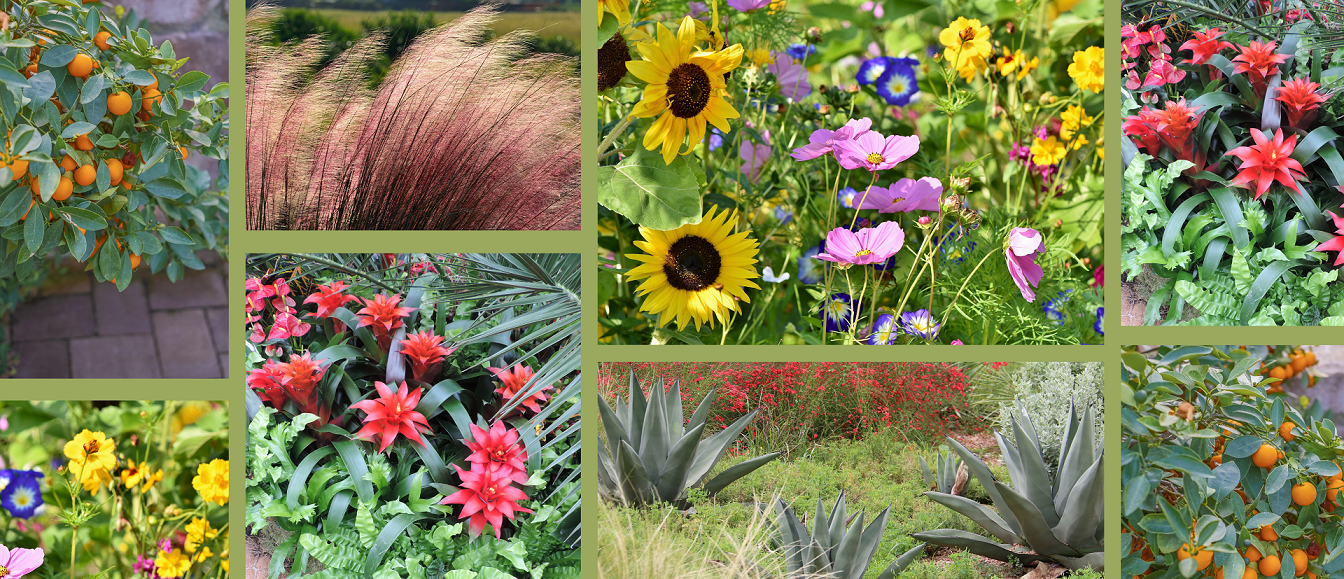 Growing trends - Get It Magazine