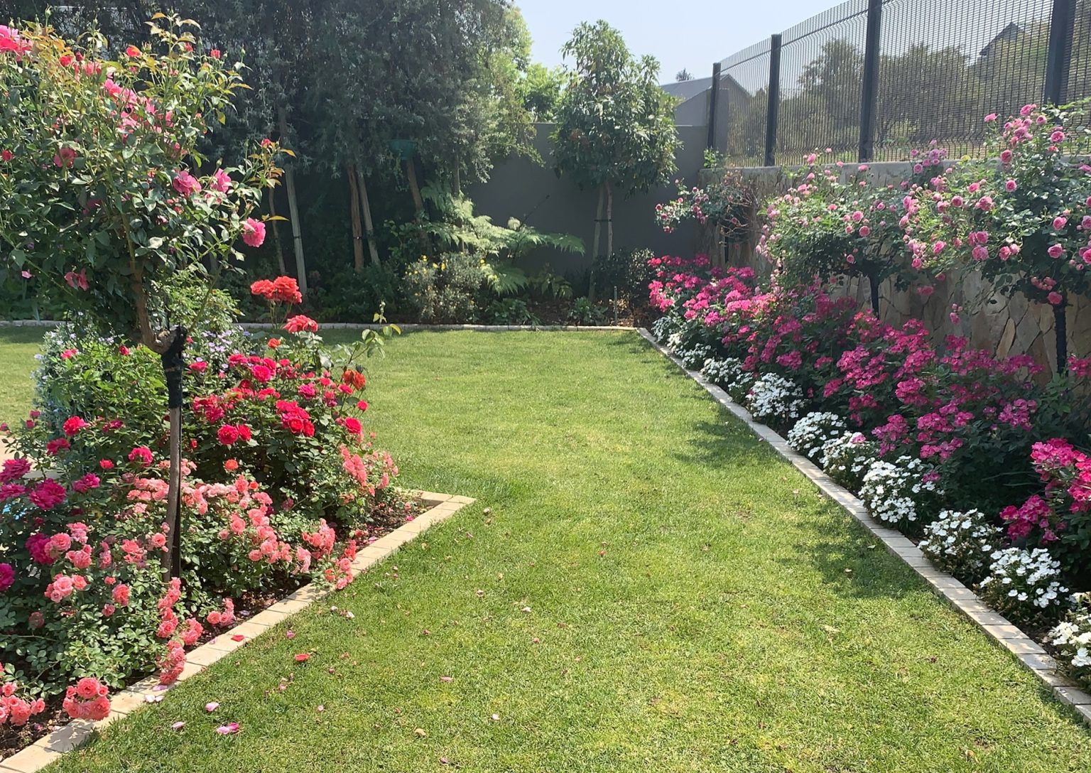Splash out with standard roses - Get It Magazine