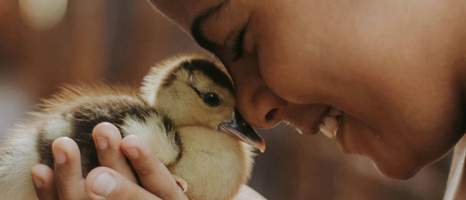 World Kindness Day: Mzansi asked to show compassion for all animals ...