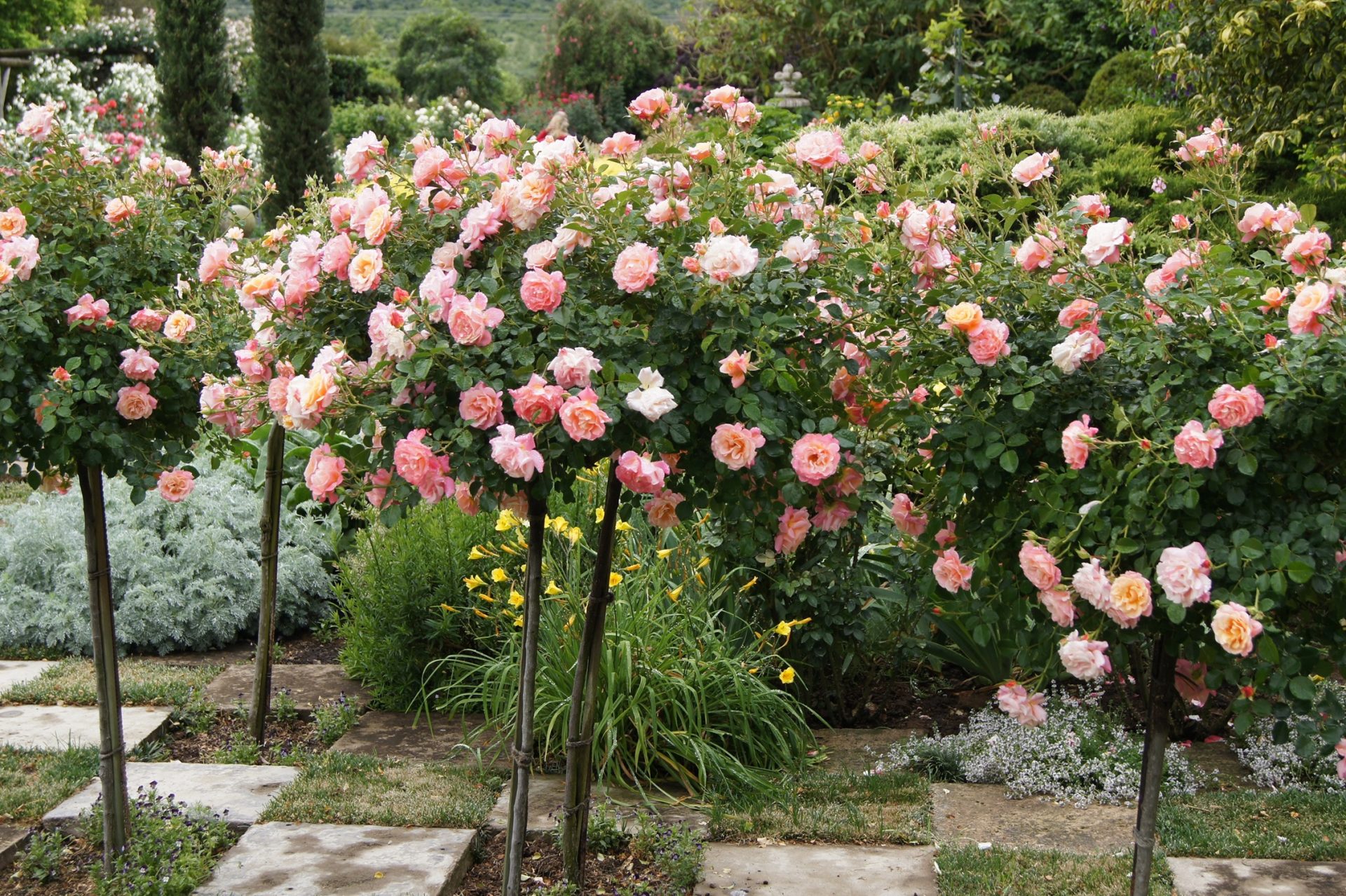 Romancing the garden - Get It Magazine